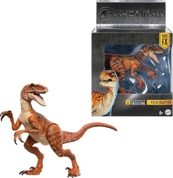Hammond Collection Surprise: Troodon, Stygimoloch, and a Raptor Mix-Up ...