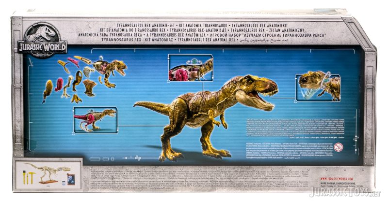 STEM Tyrannosaurus rex Anatomy Kit | Jurassic Toys: The Museum